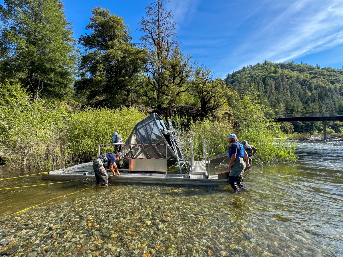 The Rotary Screw Traps Are Out Of The North Yuba! – Yuba Salmon Study